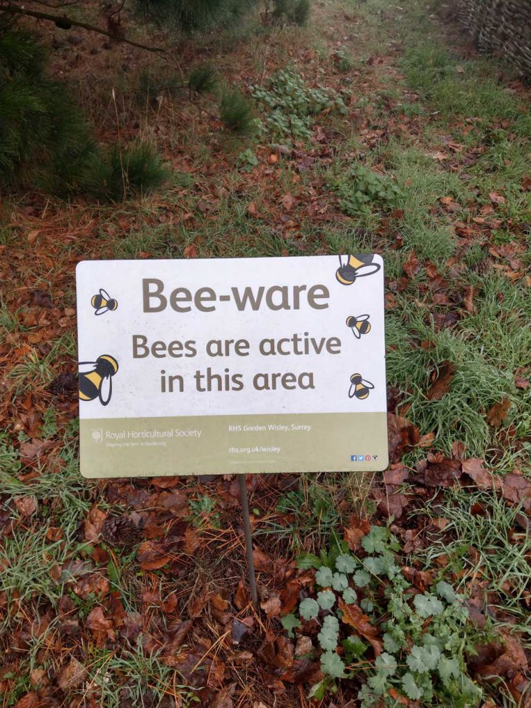 BeesMAX - Corporate Bees