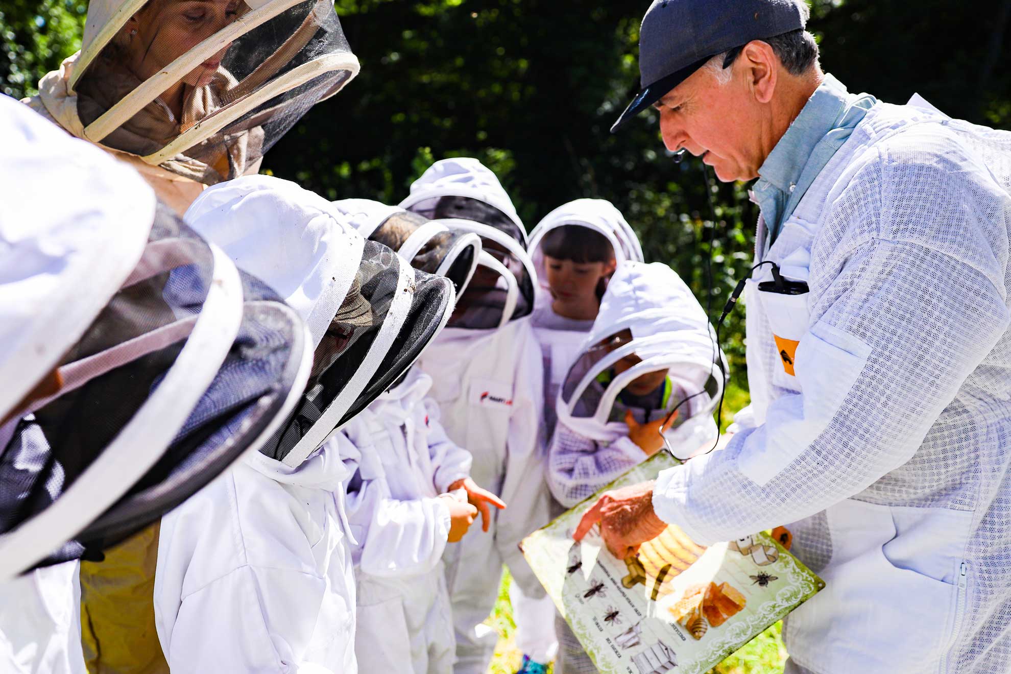 Richard Challoner School - BeesMAX.org | Honeybee Conservation ...
