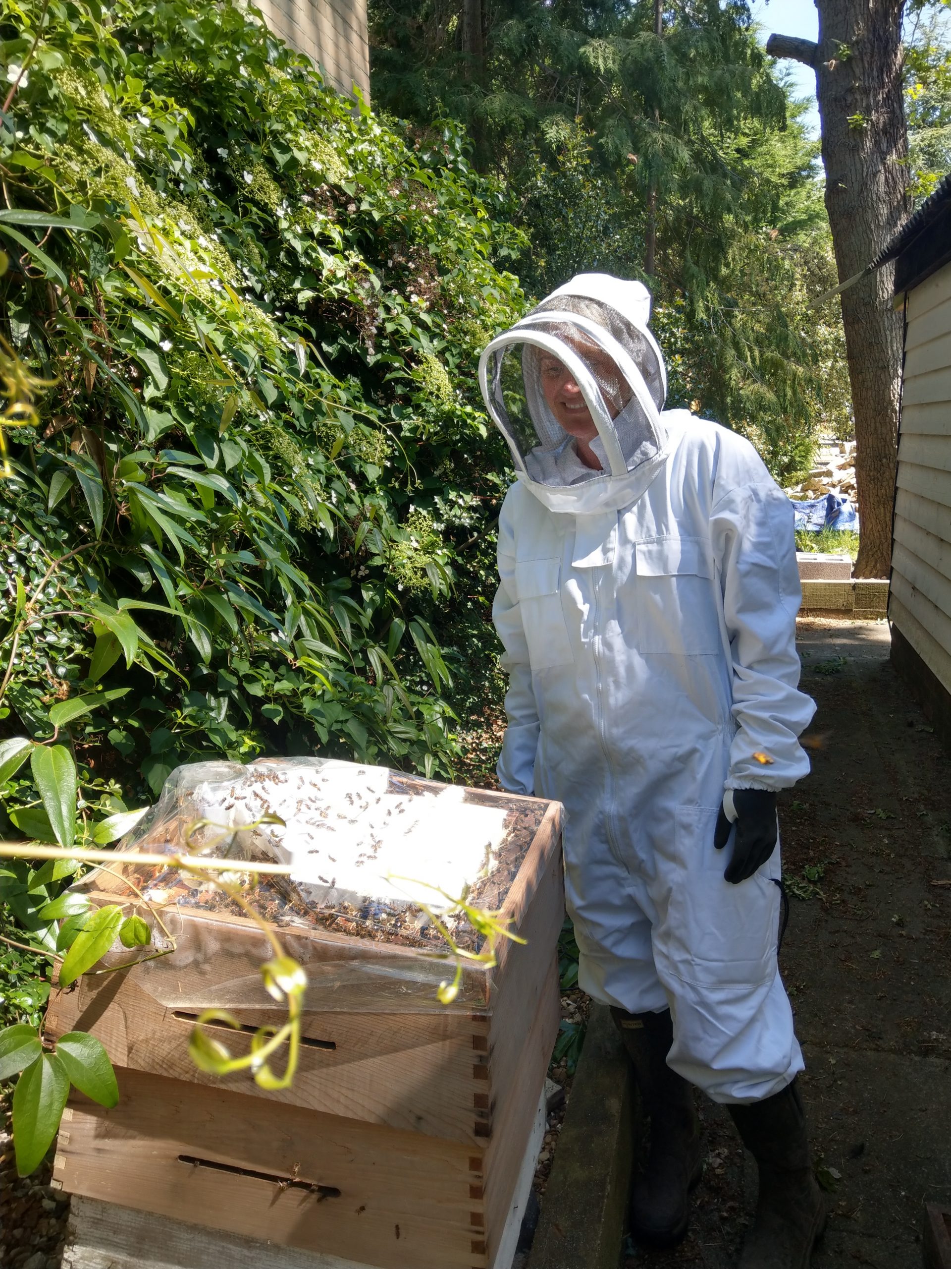 Image Gallery - BeesMAX.org | Honeybee Conservation | Rewilding | Research