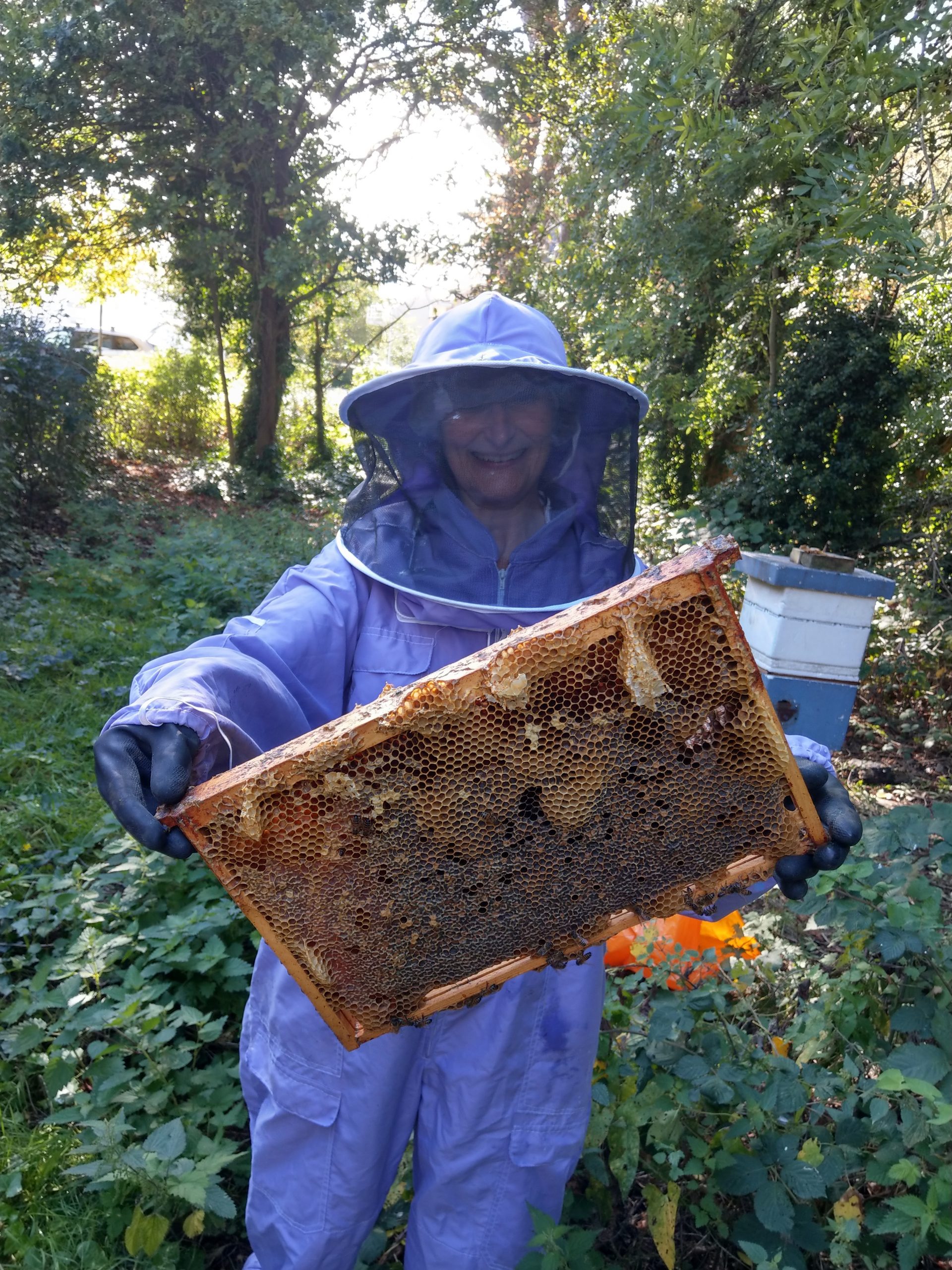 Image Gallery - BeesMAX.org | Honeybee Conservation | Rewilding | Research