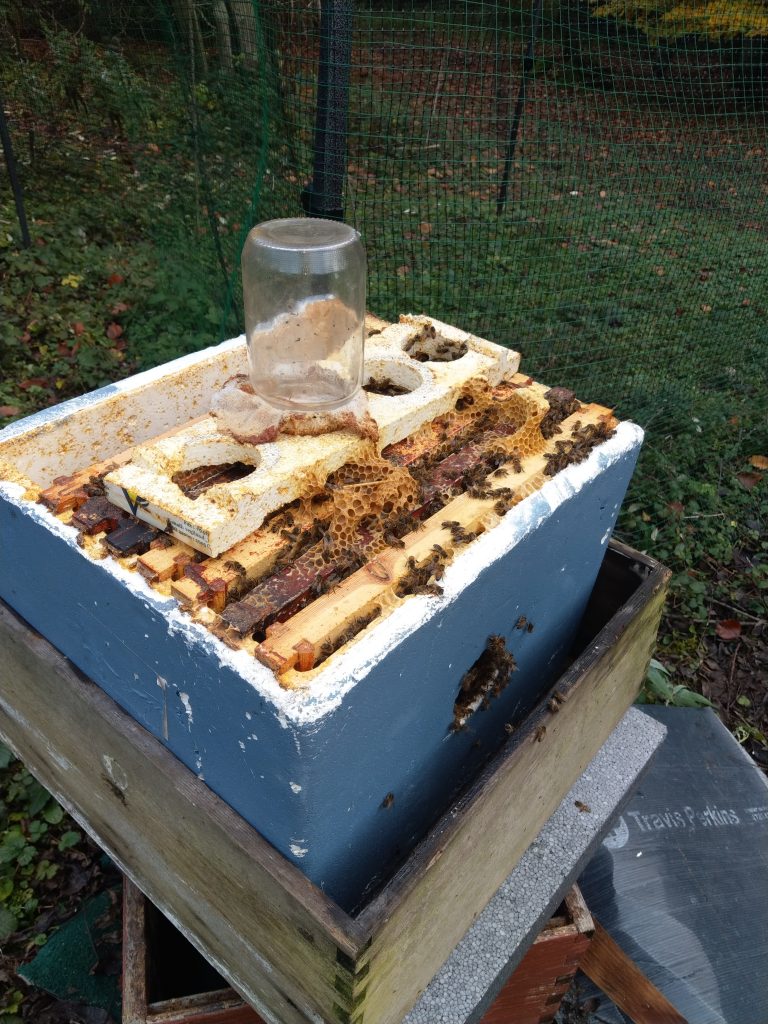 BeesMAX - WBC Traditional hive with the Blue Junior Hive inside