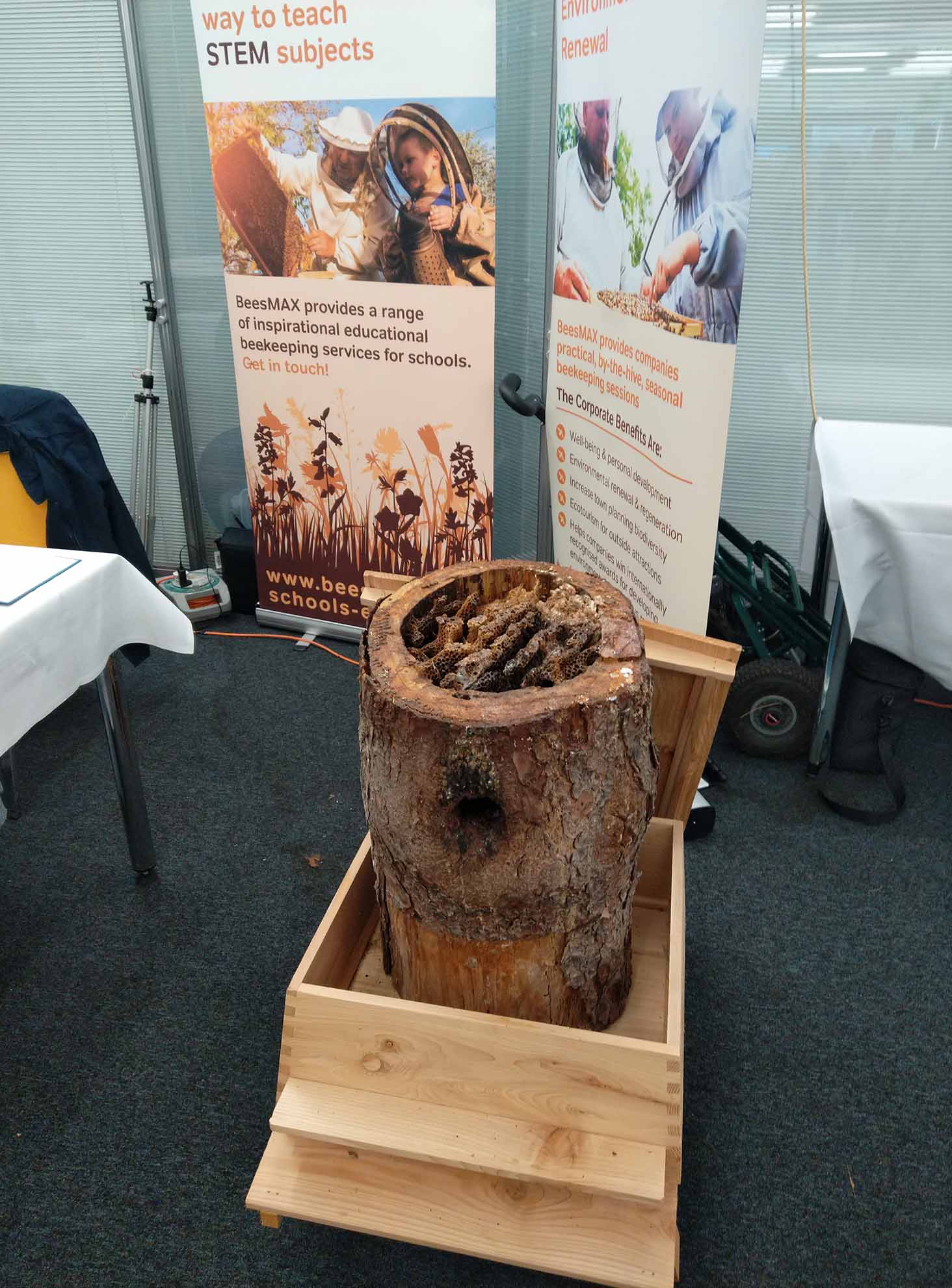 Arboricultural Association - TreeBee Rescue Service