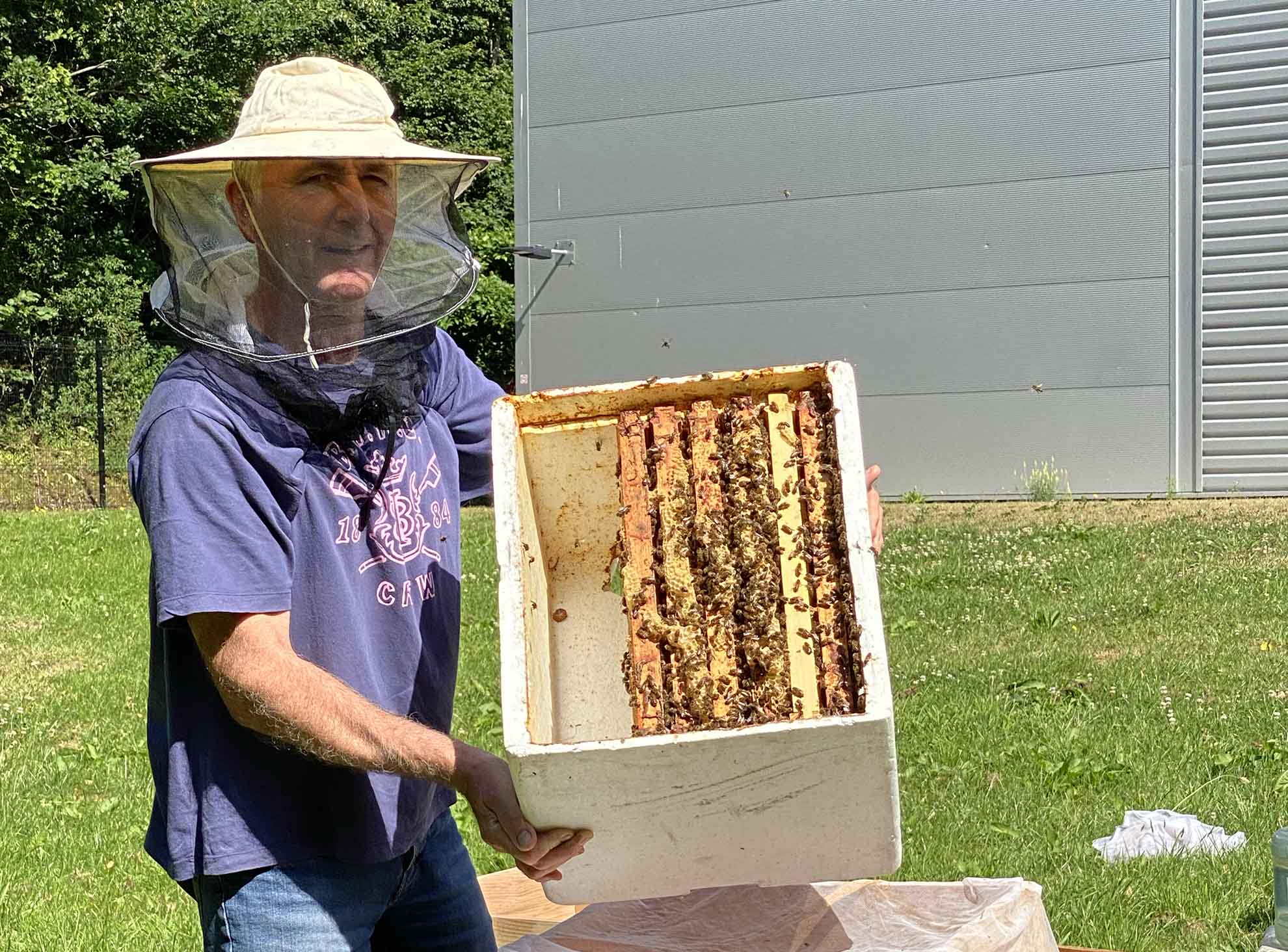 Arboricultural Association - TreeBee Rescue Service