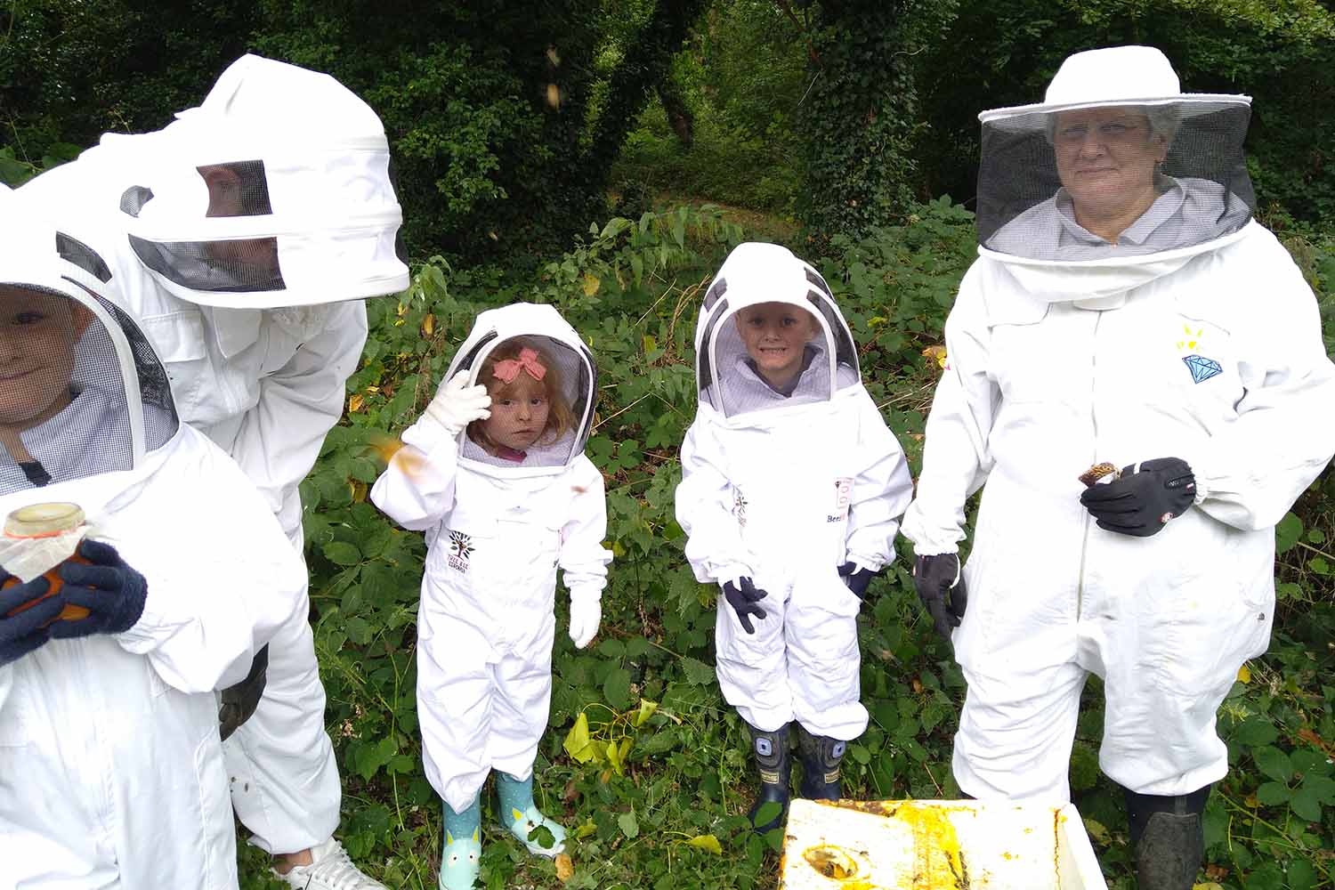 BeesMAX and Sussex University collaboration